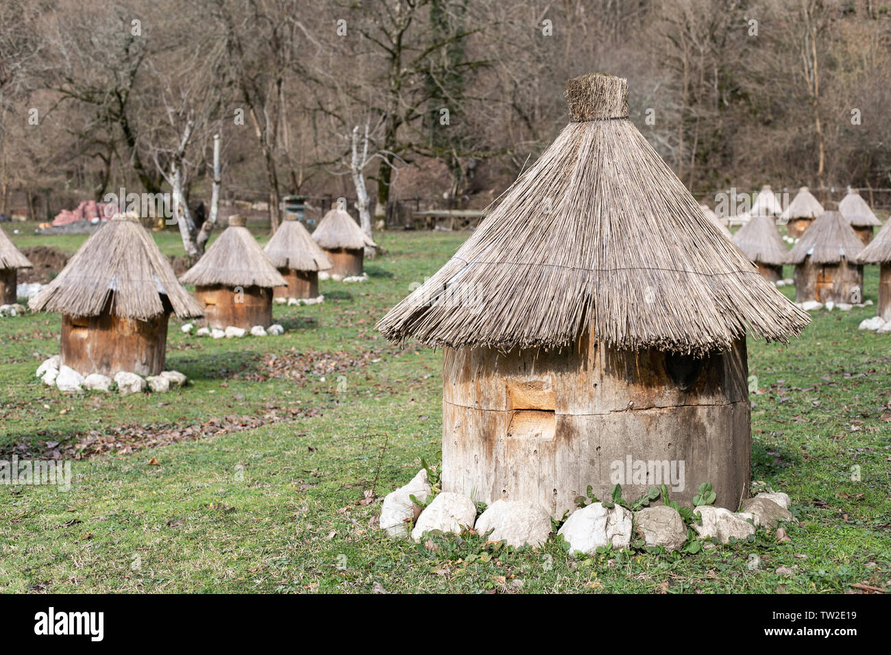 Apiary in the mountains with many hives to collect honey. Production of ...