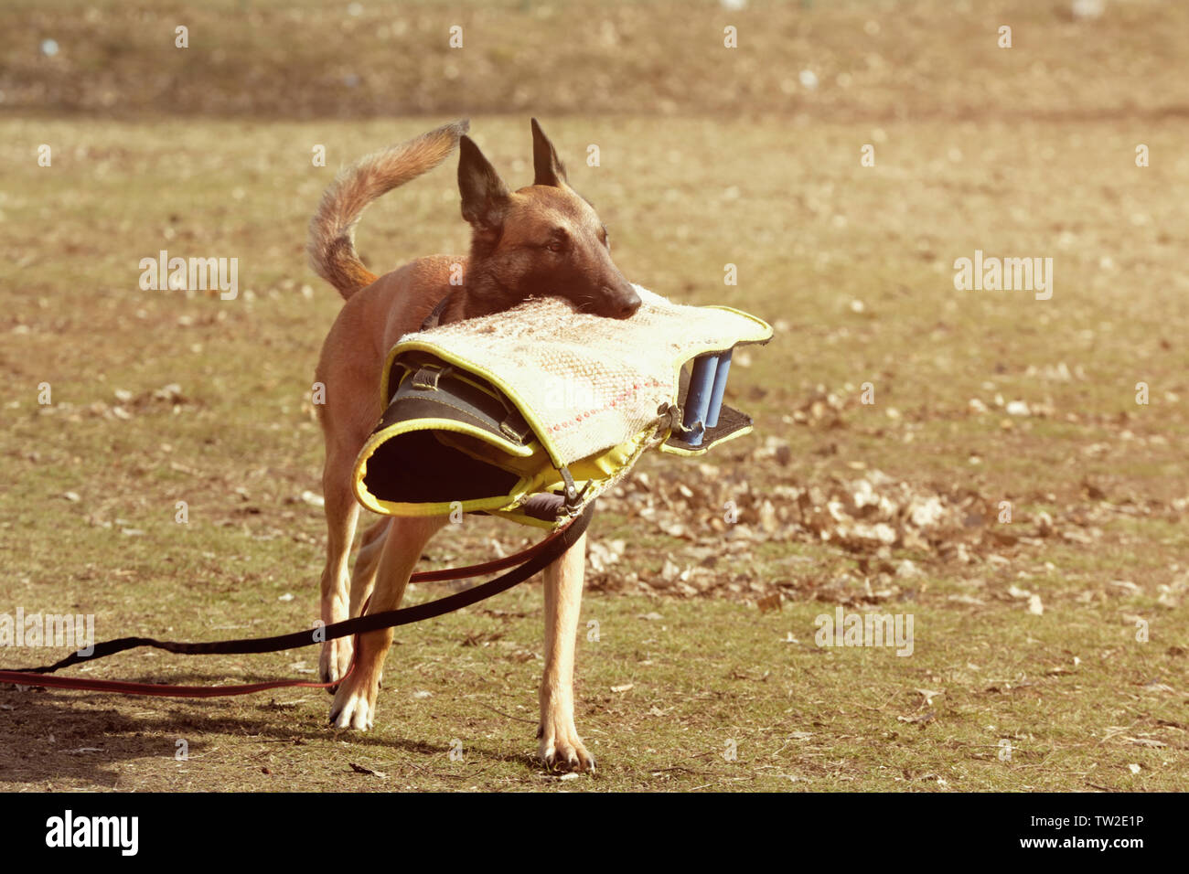 Protective sleeve hi-res stock photography and images - Alamy