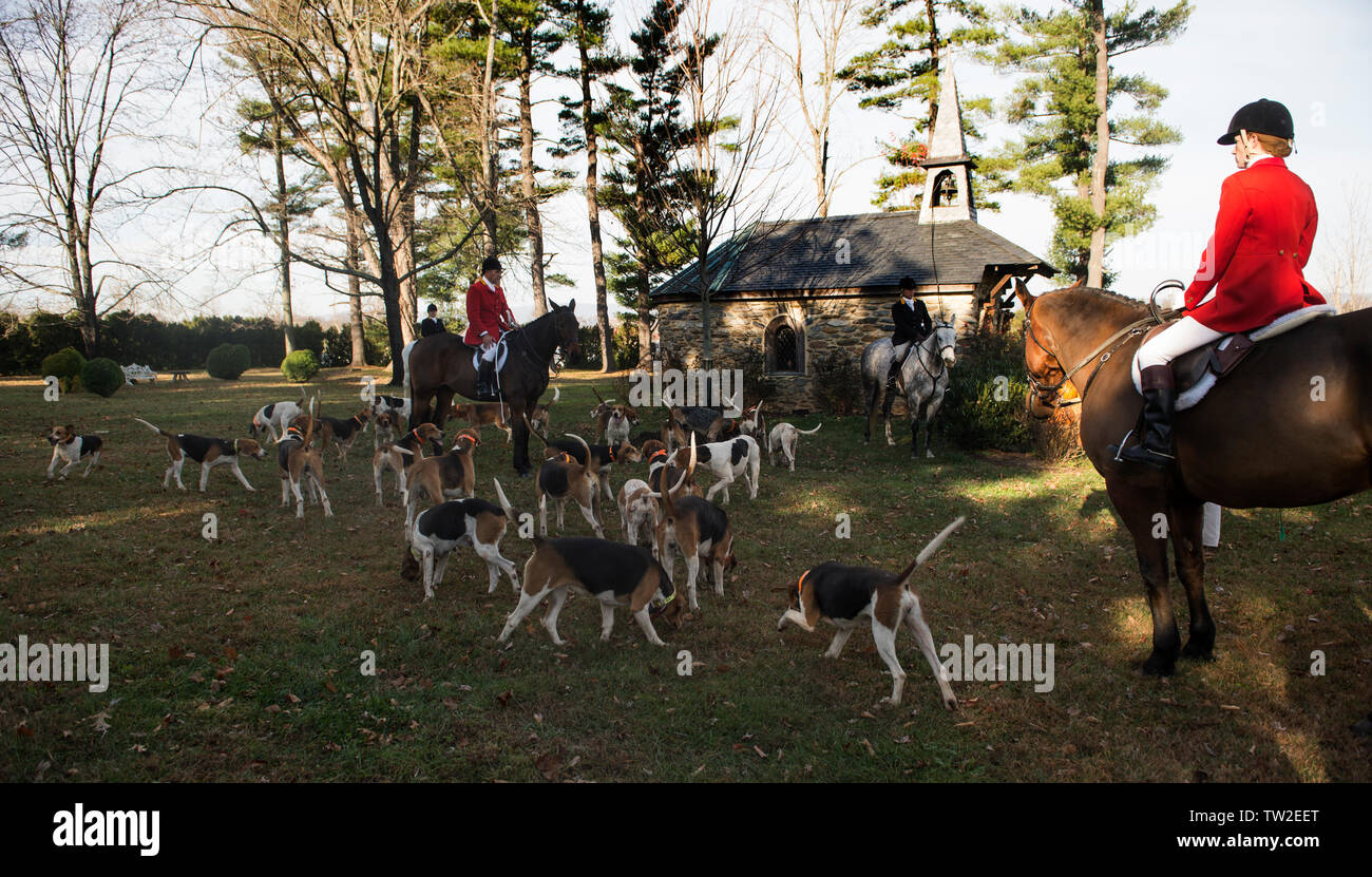 UNITED STATES - November 26, 2015: Loudoun Fairfax Hunt held the ...