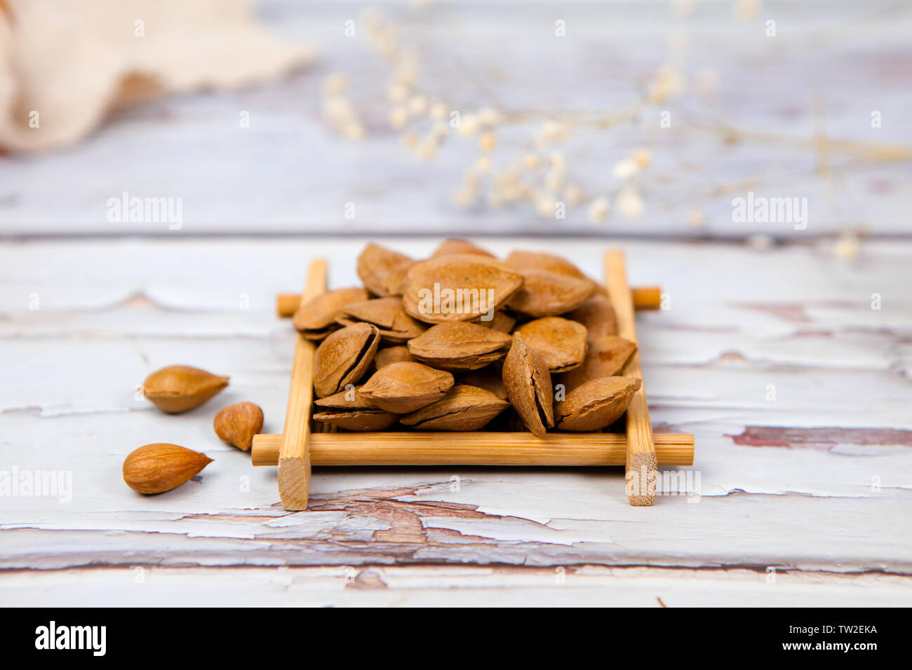 Open little Ginkgo biloba Stock Photo - Alamy