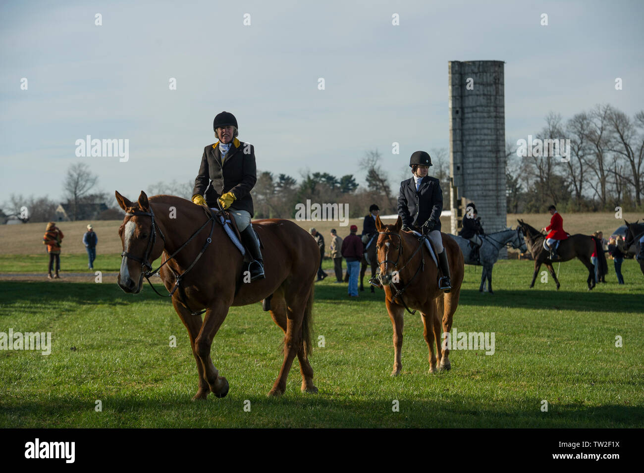 UNITED STATES - November 26, 2015: Loudoun Fairfax Hunt held the ...