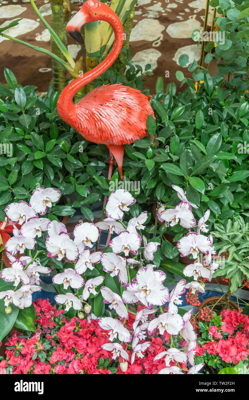 Sichuan china flowers hi-res stock photography and images - Alamy