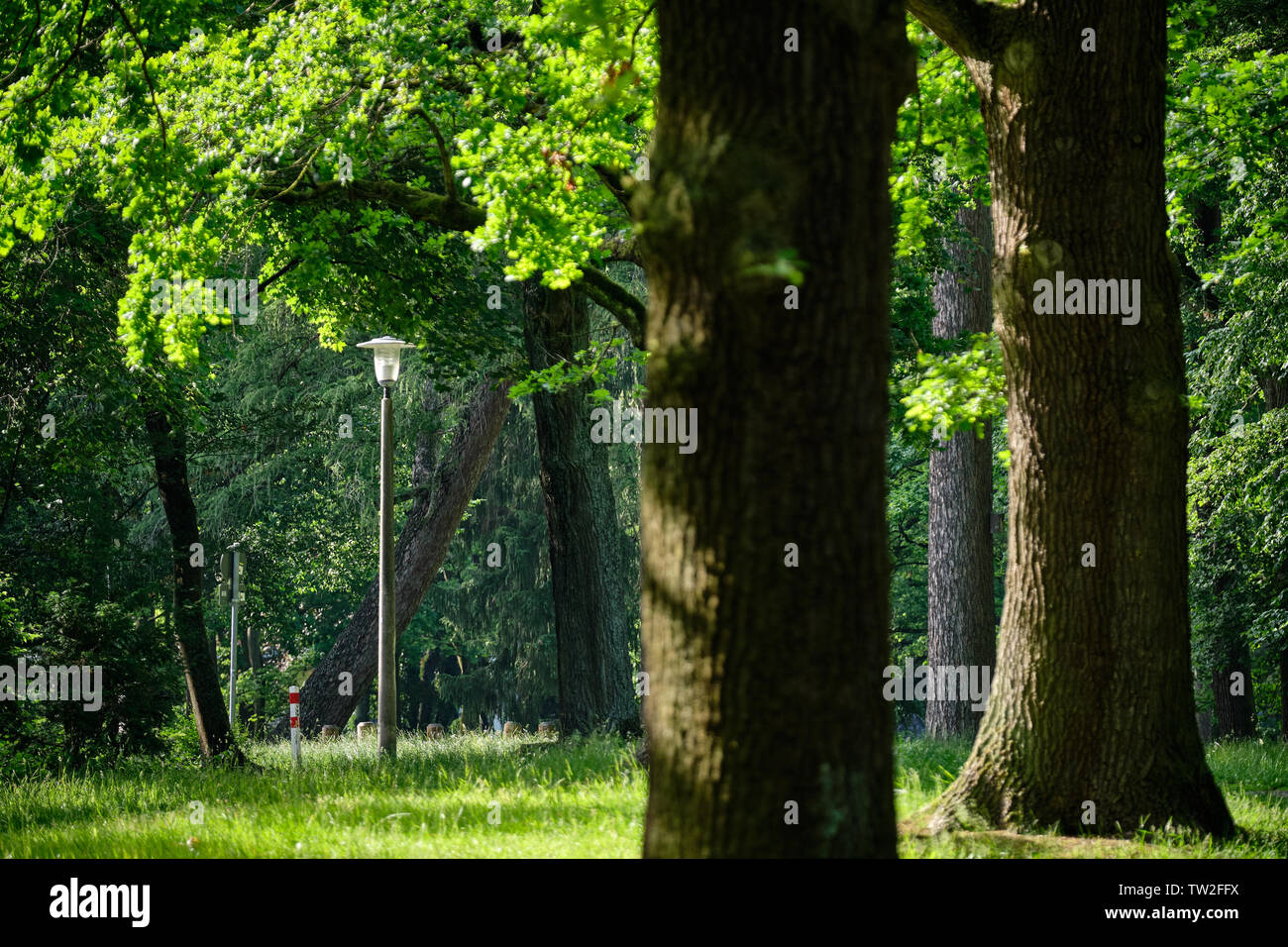 Street lamp in daylight seen through a beautiful natural scenery of ...