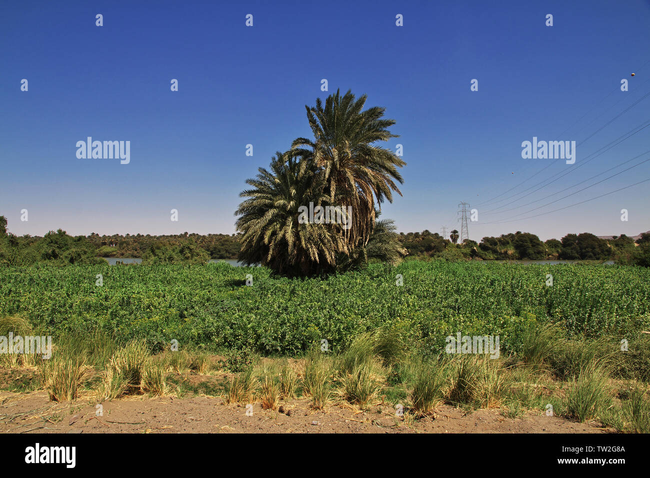 Sudan village on Nile river Stock Photo - Alamy