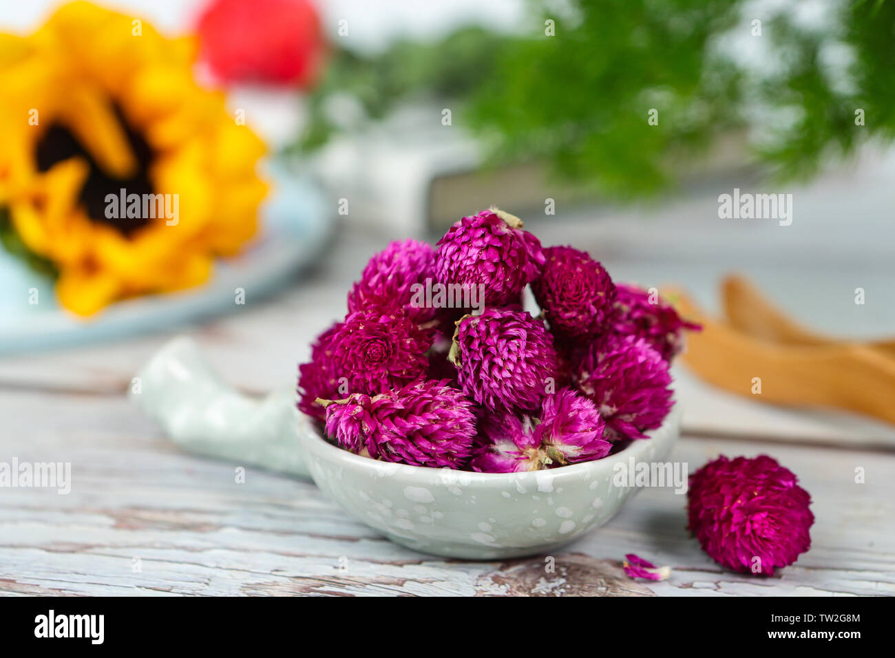 Thousand-day red flower tea Stock Photo - Alamy