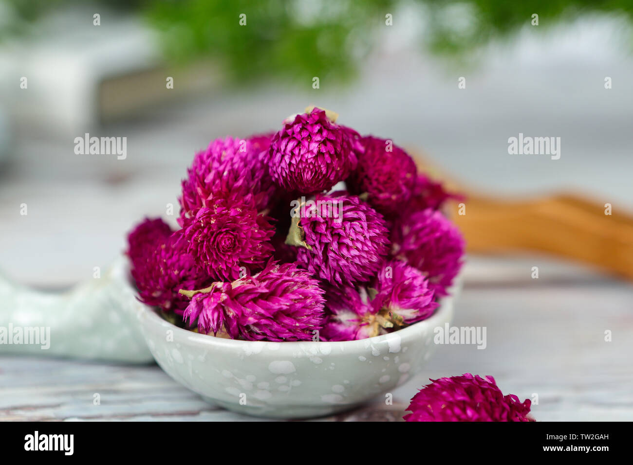Thousand-day red flower tea Stock Photo - Alamy