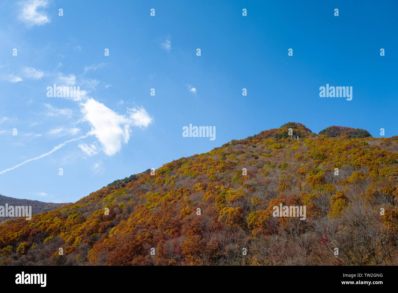 He fengshan hi-res stock photography and images - Alamy