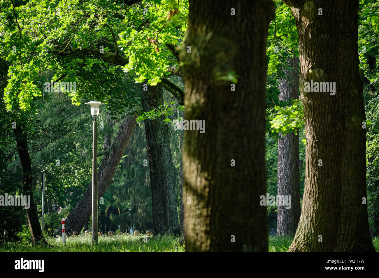 Lantern in the grass hi-res stock photography and images - Alamy