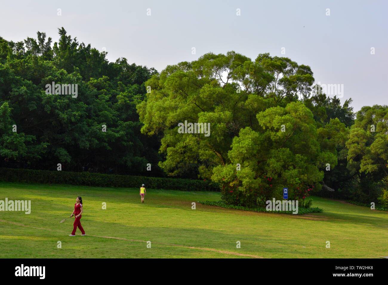 In the morning, people walk, exercise and breathe fresh air in the park ...