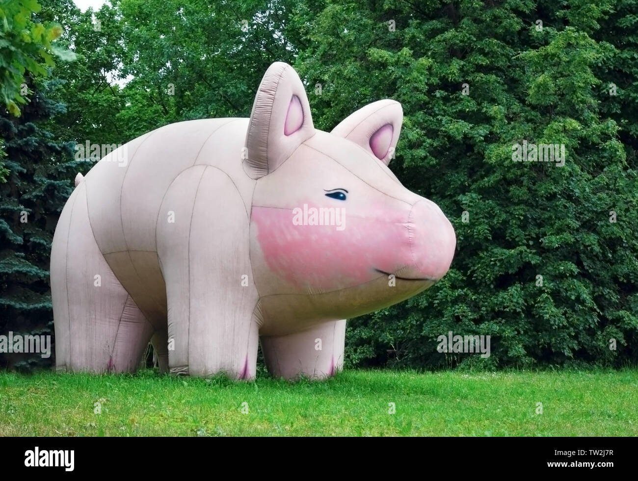 Inflatable pig hi-res stock photography and images - Alamy