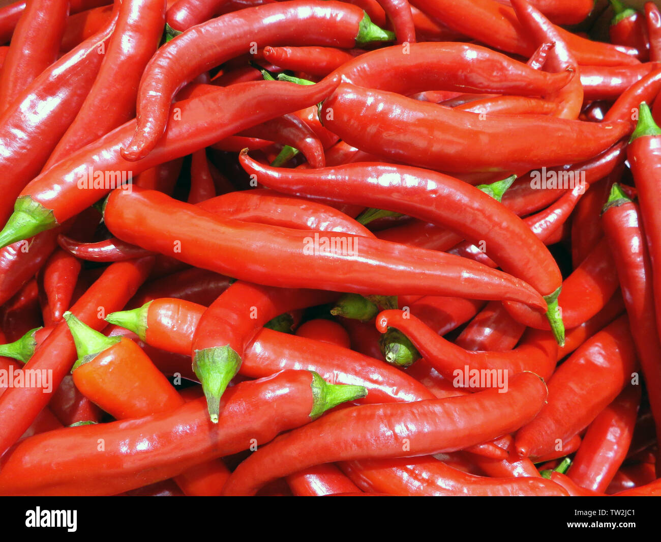Glossy pods of red hot chilli pepper sold on the market Stock Photo - Alamy