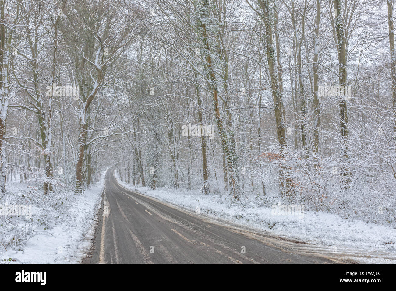 Selhurst woods hi-res stock photography and images - Alamy