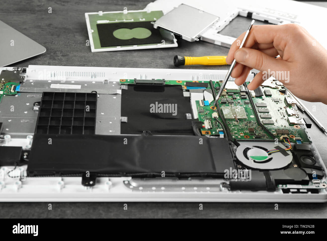 Man fixing dismantled laptop on table. Concept of computer repair Stock ...