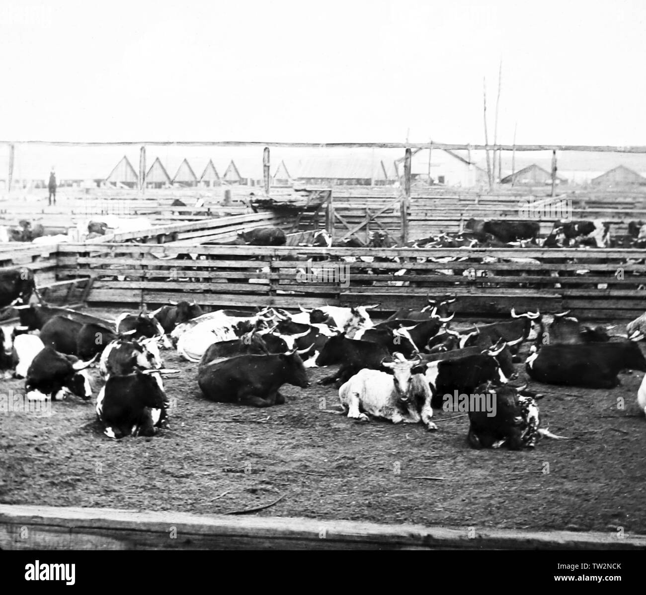 Stock Yards East End, Chicago, USA Stock Photo - Alamy