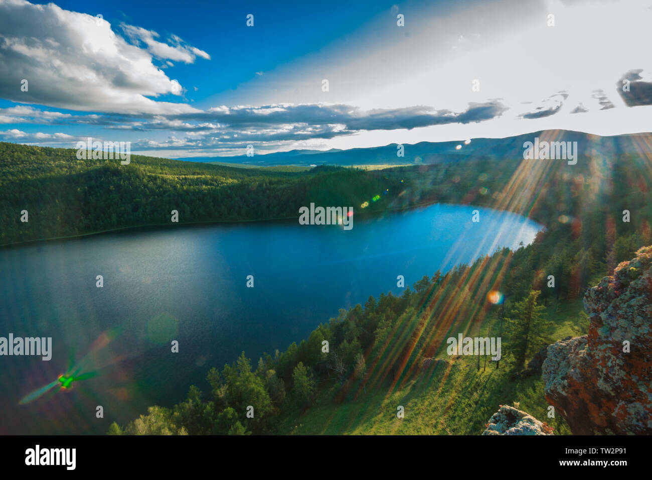 The flowers and grass of Alshan Stock Photo - Alamy