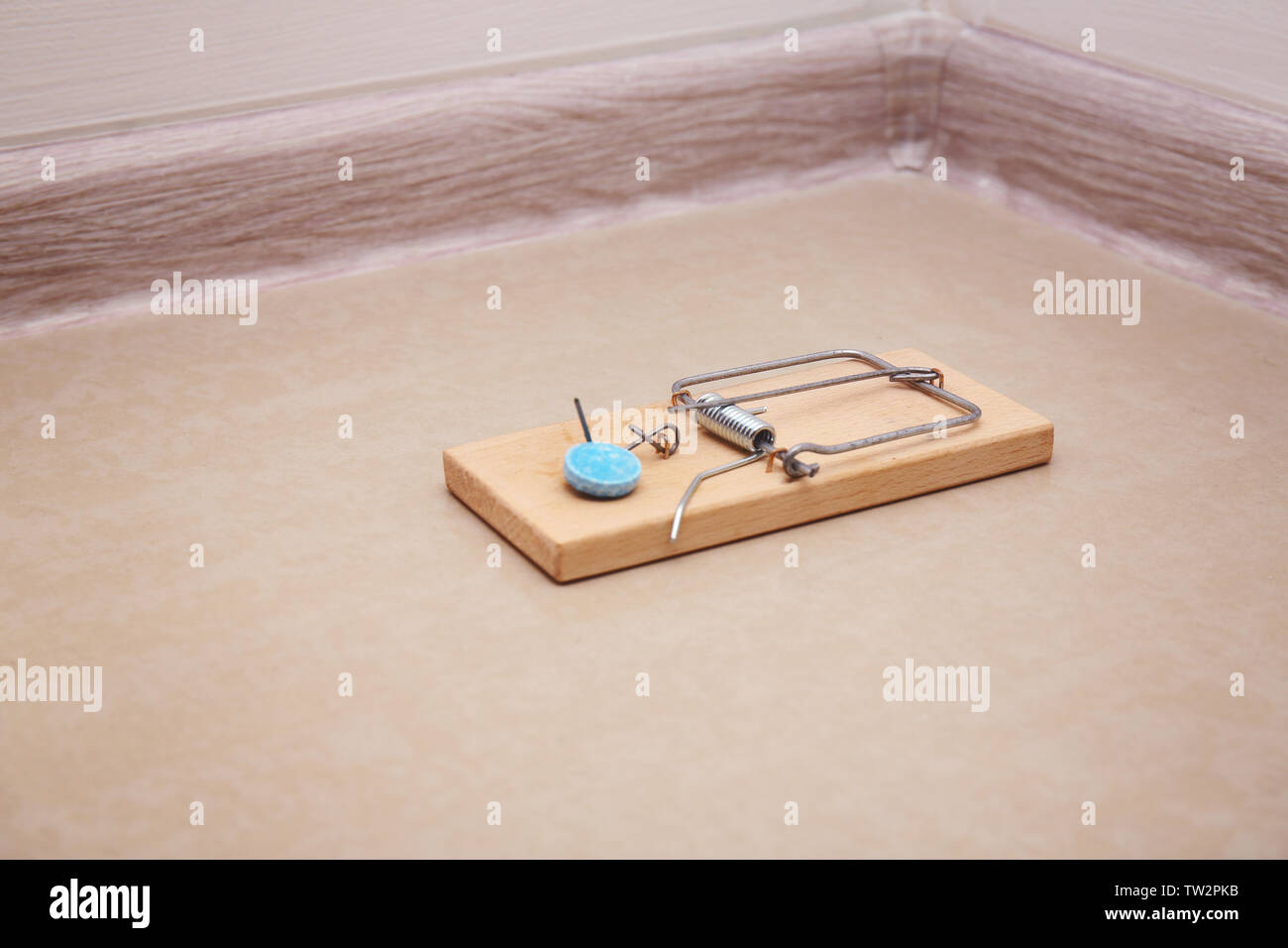 Mouse trap with rat poison on floor Stock Photo - Alamy