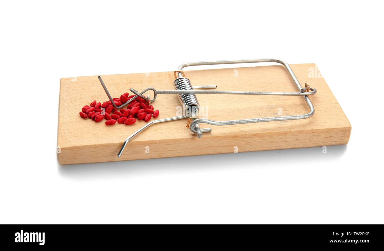 Mouse trap with rat poison on white background Stock Photo - Alamy