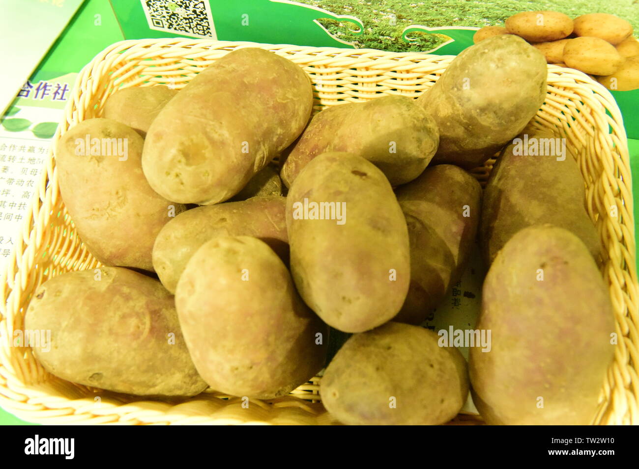 Potato farm pictures hi-res stock photography and images - Alamy