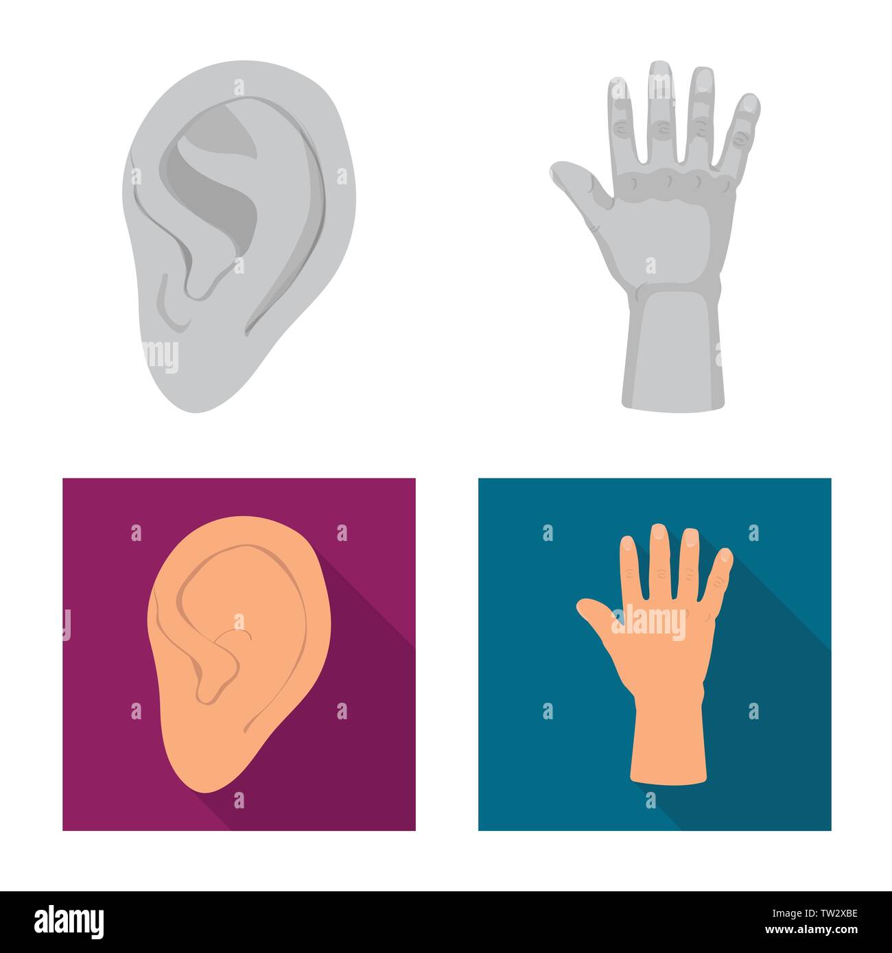 Isolated object of body and part sign. Collection of body and anatomy ...