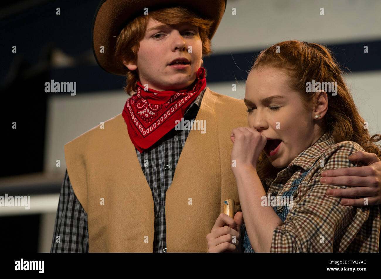 Curly crest hi-res stock photography and images - Alamy