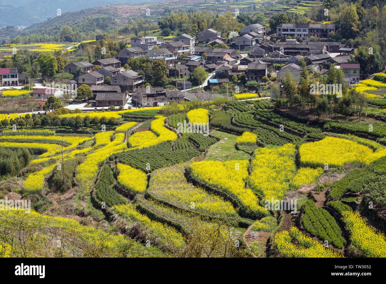 Ninghai county hi-res stock photography and images - Alamy