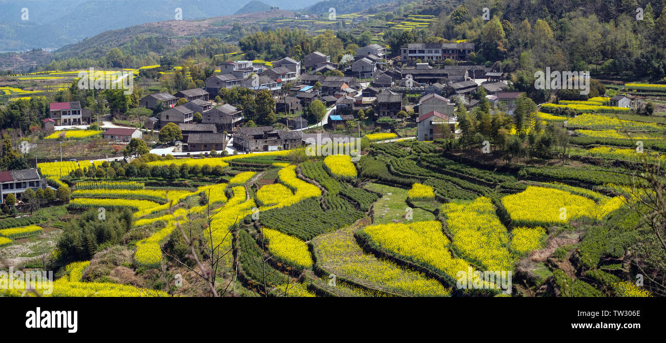 Ninghai hi-res stock photography and images - Alamy