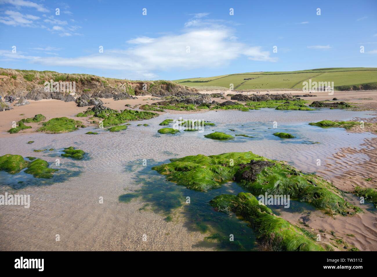 Bantham Beach, Devon, England Stock Photo - Alamy