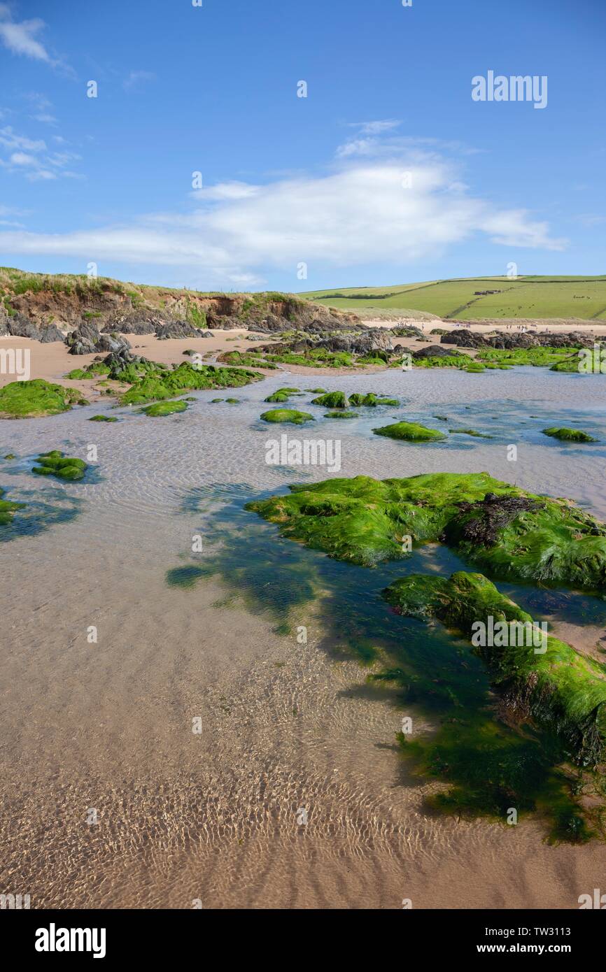 Bantham beach devon hi-res stock photography and images - Alamy