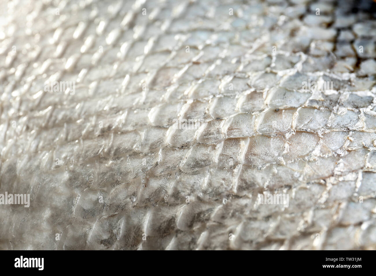 Skin of fresh salmon, closeup Stock Photo - Alamy