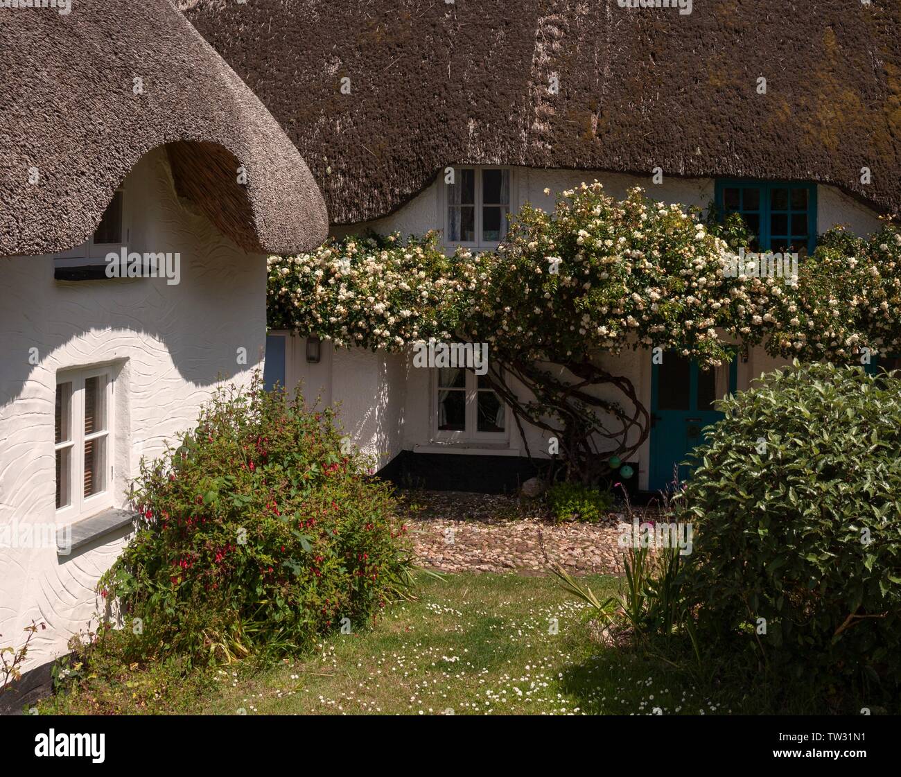 Devonshire cottages hi-res stock photography and images - Alamy