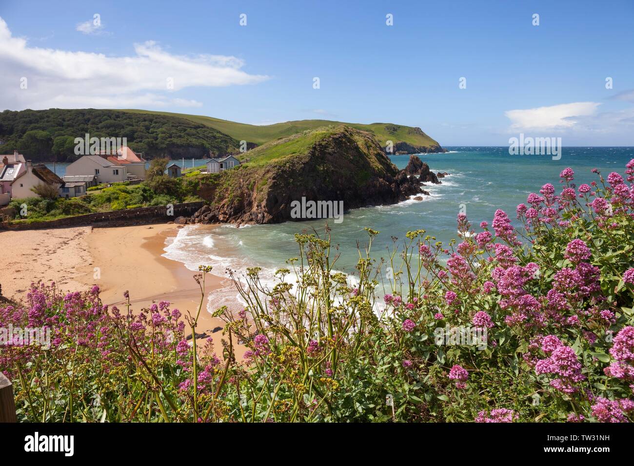 Hope Cove, Devon, England Stock Photo - Alamy