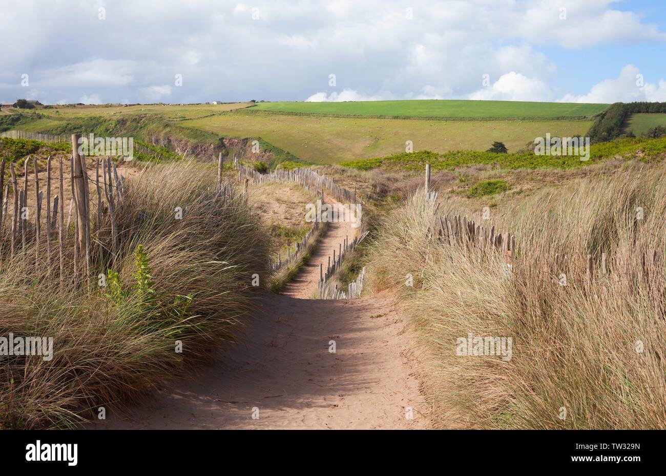 Path through sand dunes, Devon, England Stock Photo - Alamy