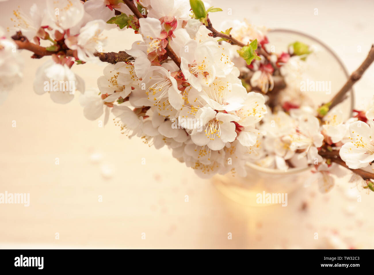 Branches of blooming tree flowers, closeup Stock Photo - Alamy