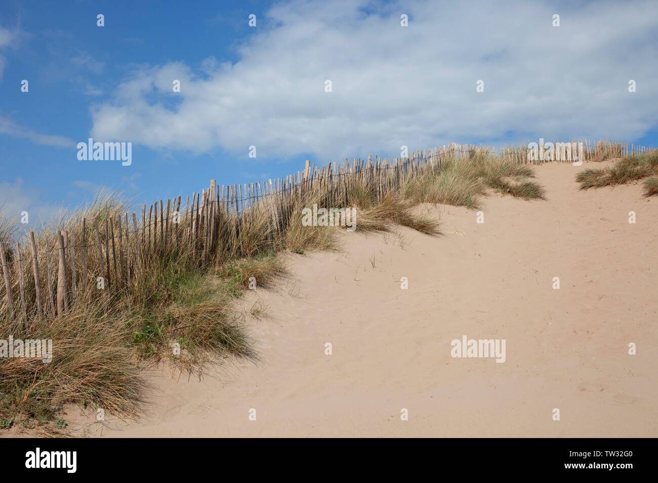 Sand Dunes, Devon, England Stock Photo - Alamy