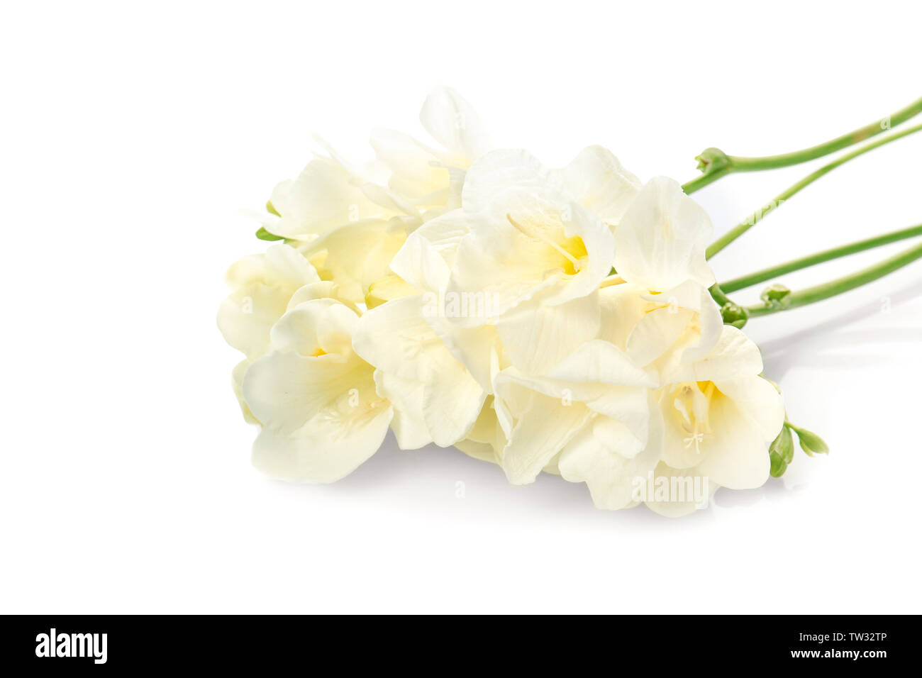 Beautiful freesia flowers on white background Stock Photo - Alamy