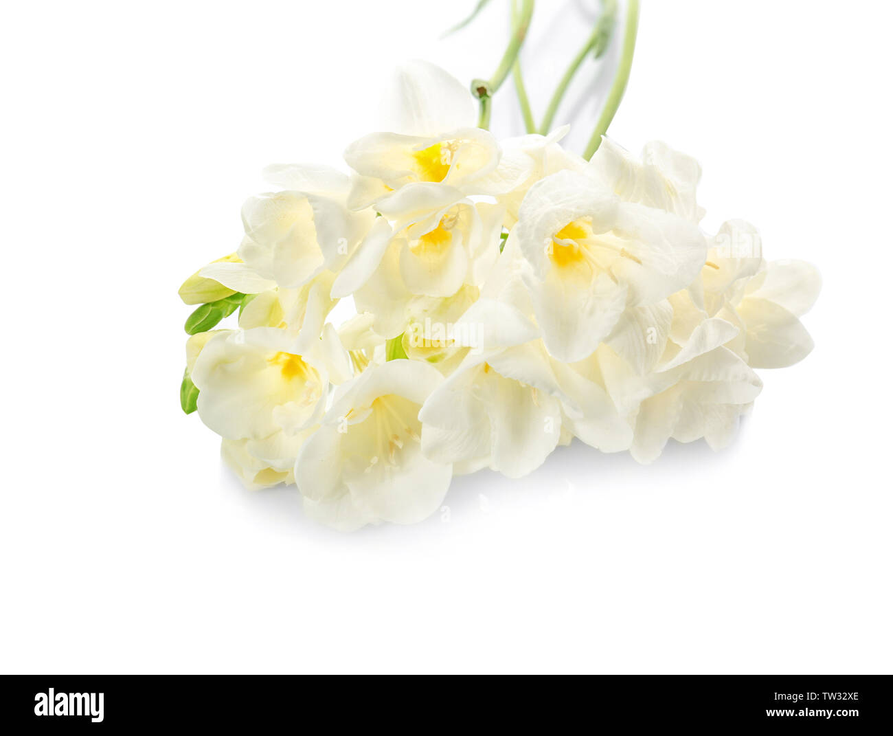 Beautiful freesia flowers on white background Stock Photo - Alamy