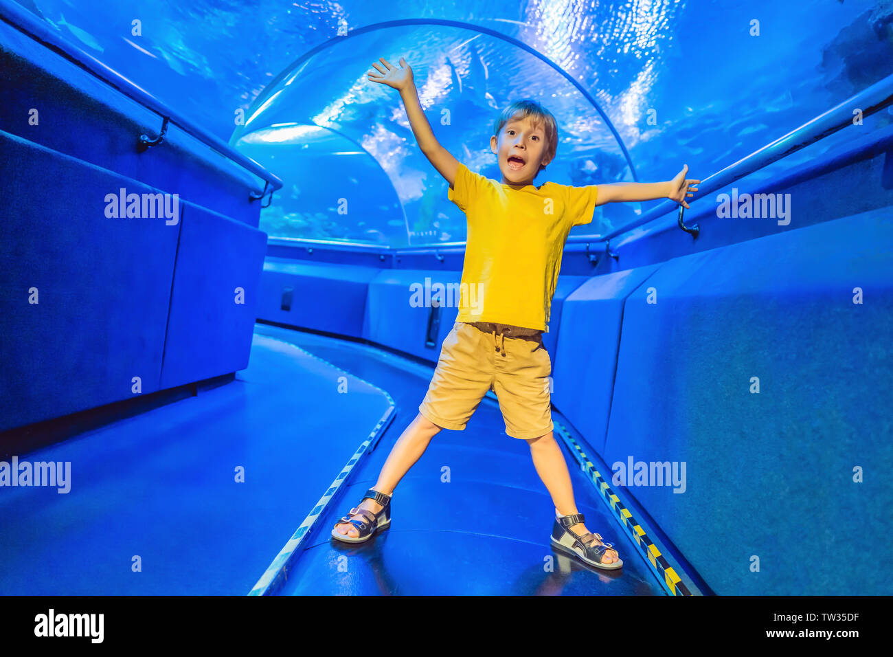 aquarium and boy, visit in oceanarium, underwater tunnel and kid ...