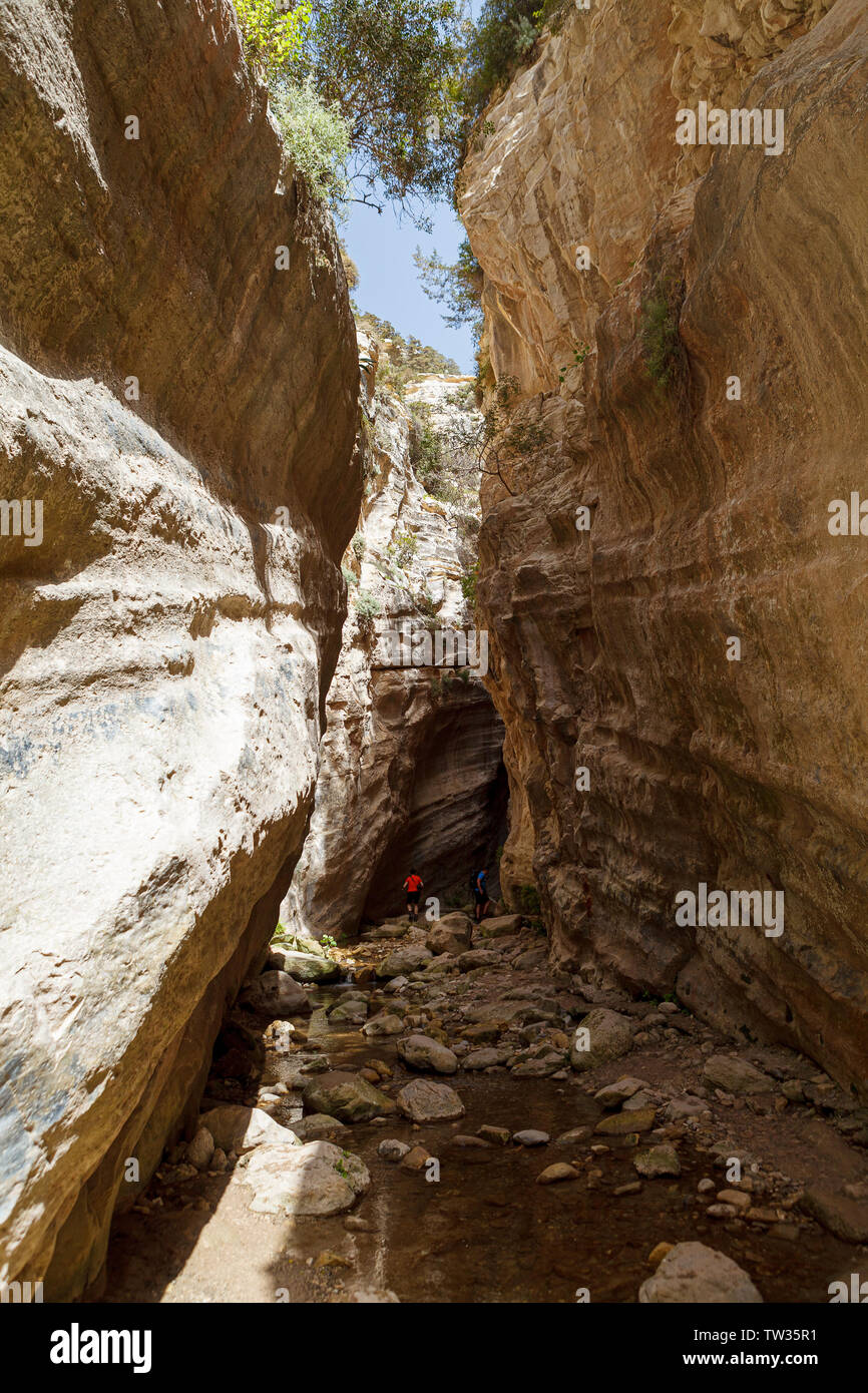 Avakas Gorge canon in Cyprus with little river, Sunlit rocks and tight ...