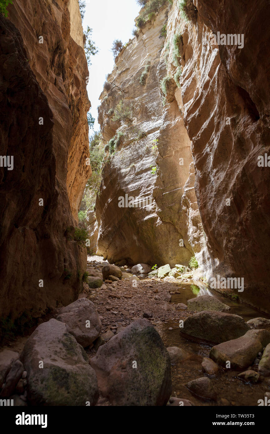 Avakas Gorge canon in Cyprus with little river, Sunlit rocks and tight ...