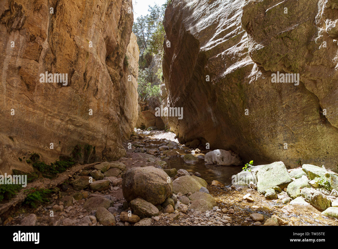 Avakas Gorge canon in Cyprus with little river, Sunlit rocks and tight ...