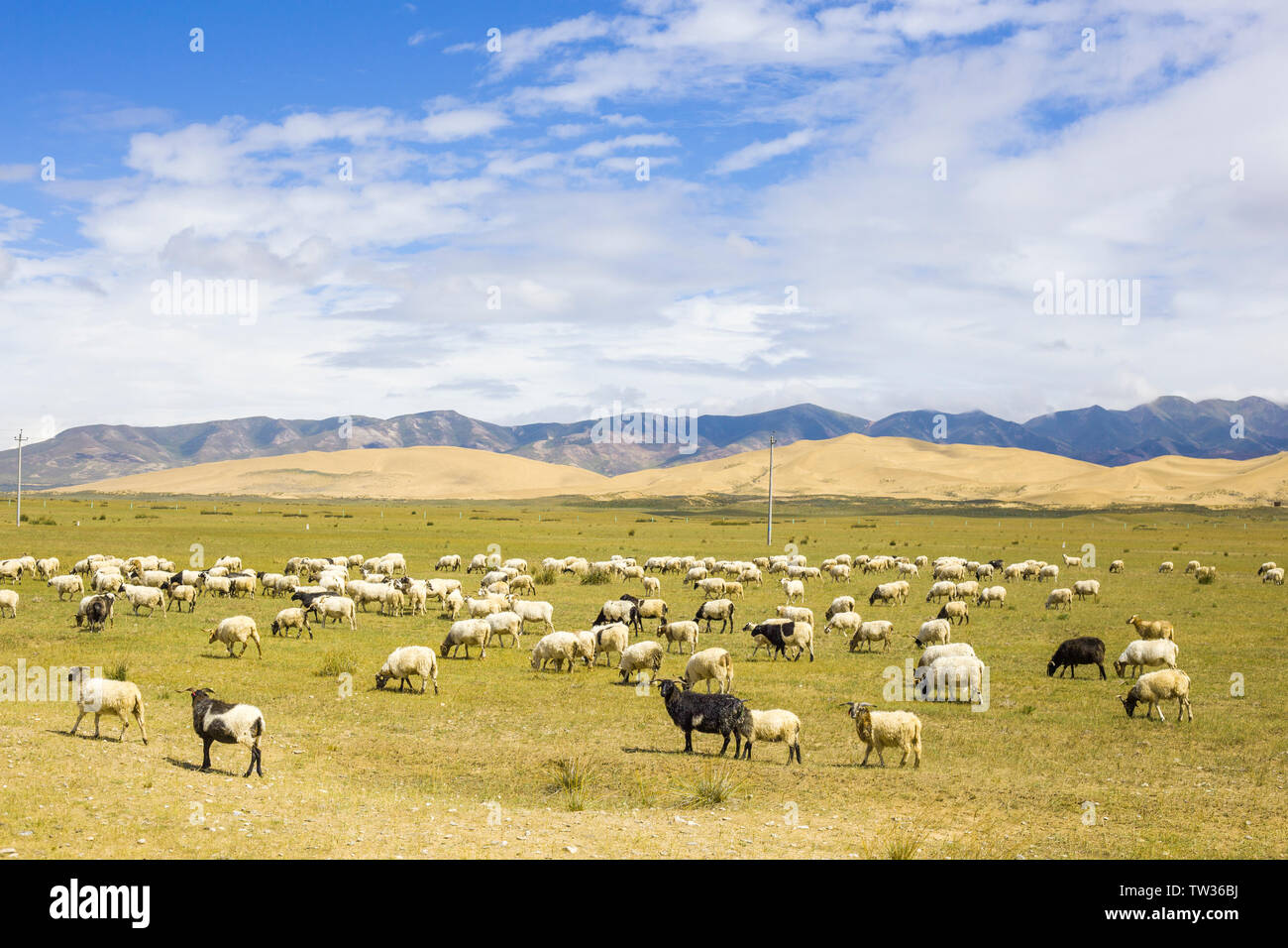 Blue Sky Ranch Stock Photo - Alamy
