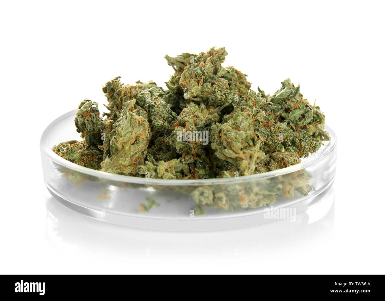Weed problem Cut Out Stock Images & Pictures - Alamy