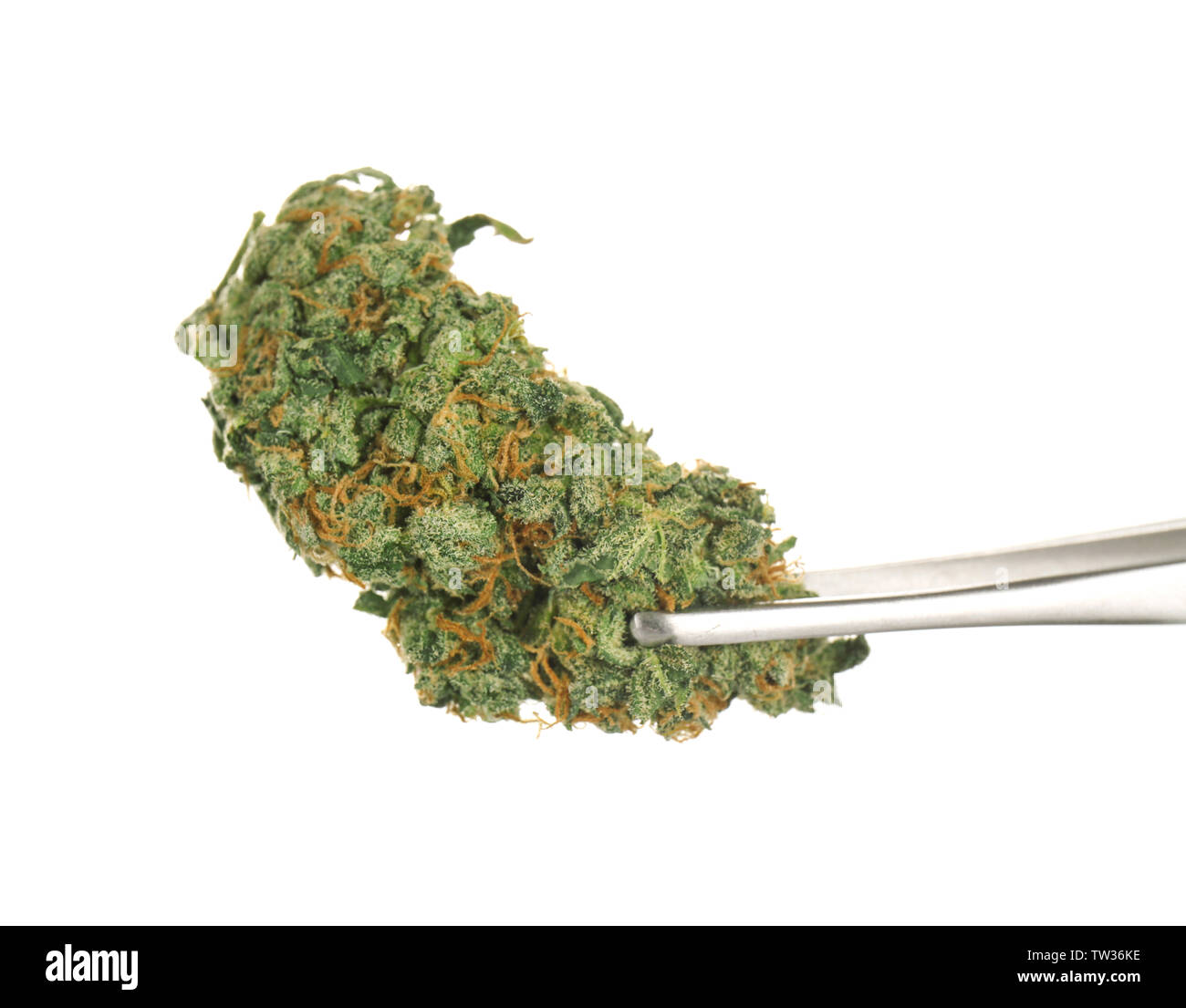 Weed problem Cut Out Stock Images & Pictures - Alamy