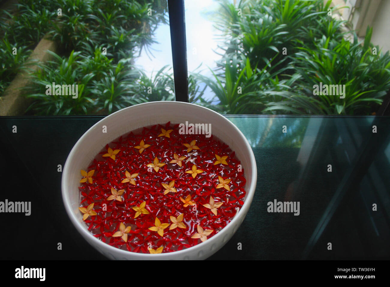 Tropical red flowers floating in water Stock Photo - Alamy