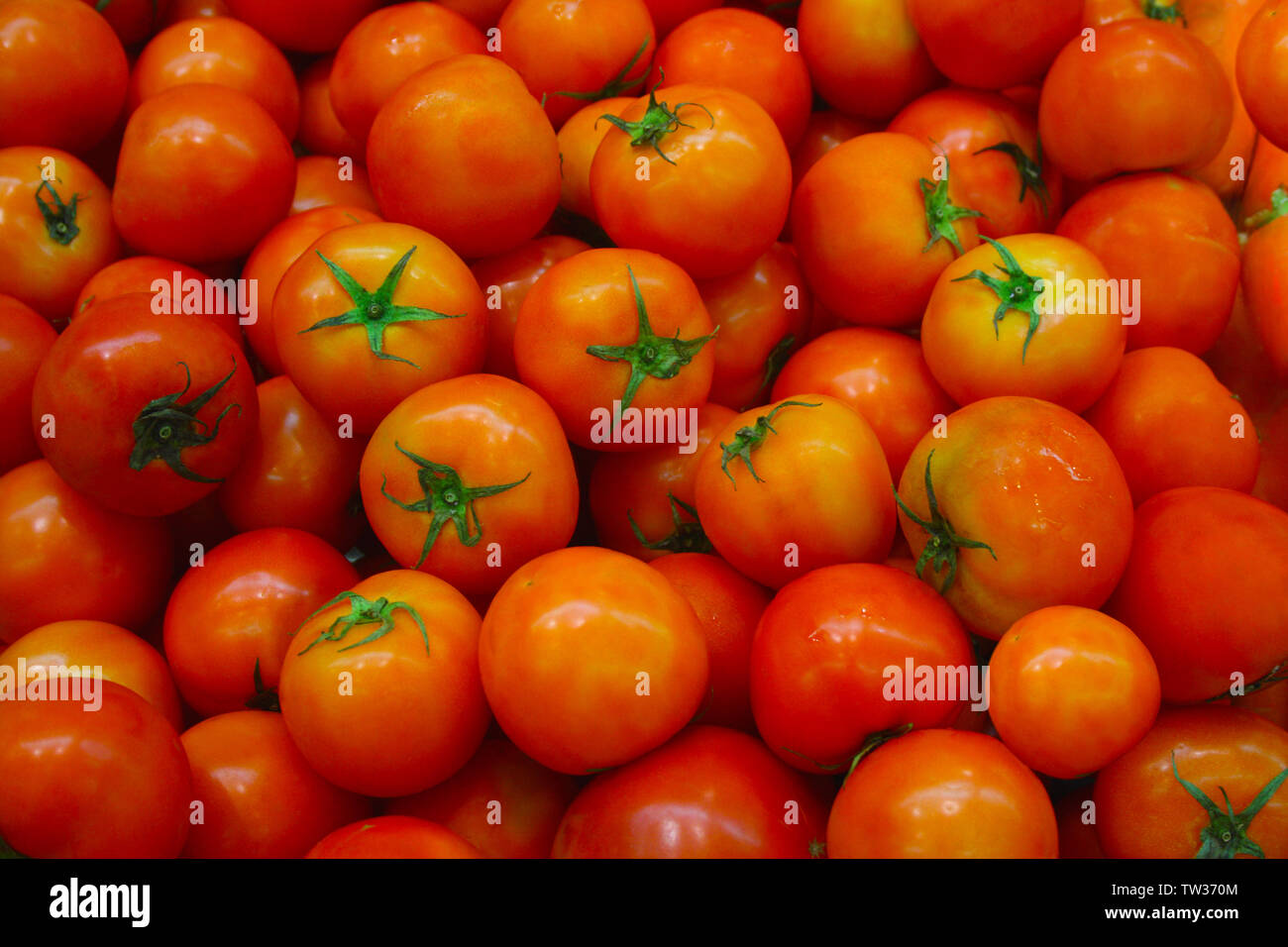 Tomato sepal hi-res stock photography and images - Alamy