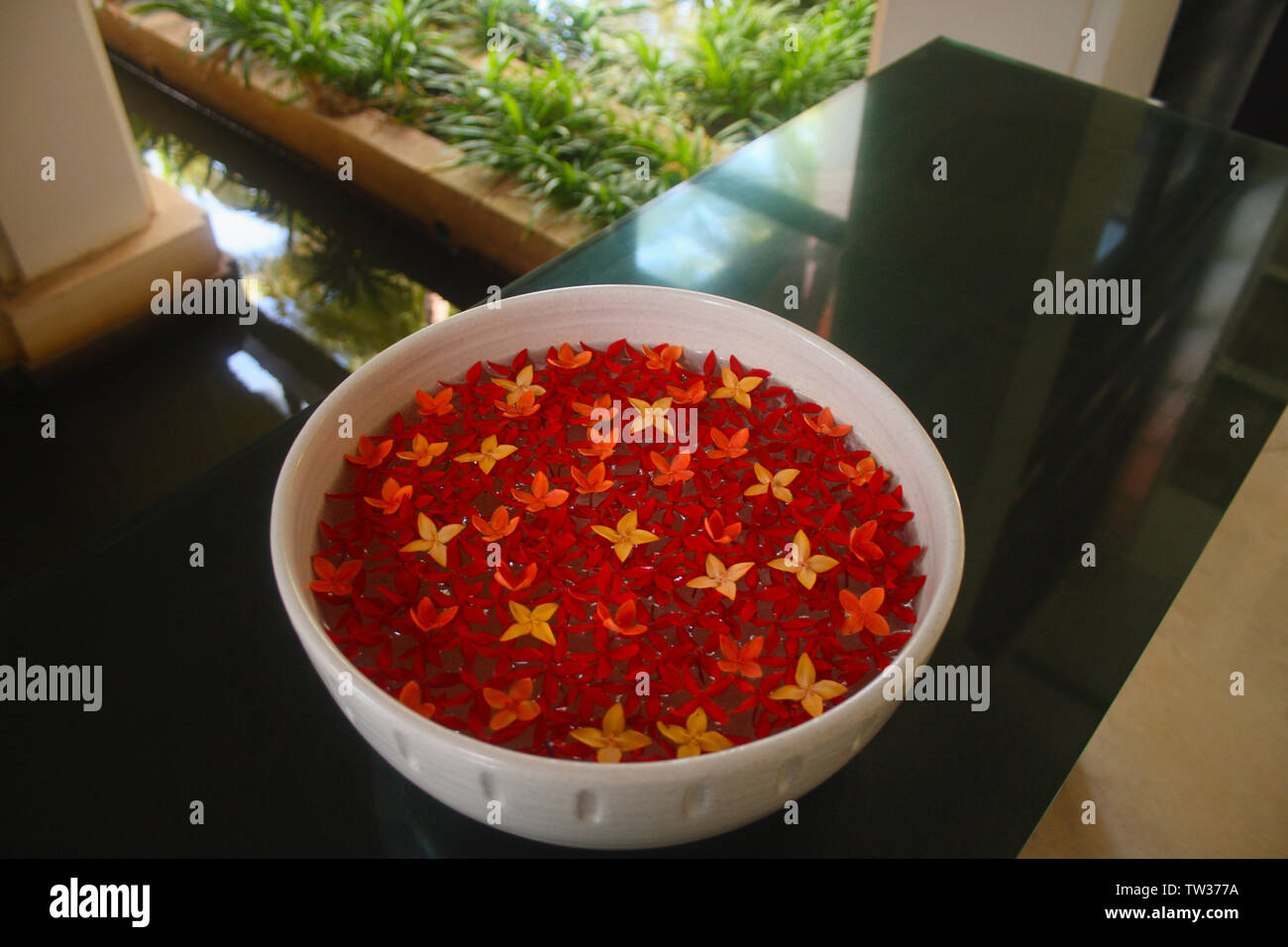 Red flowers floating in a bowl of water Stock Photo - Alamy