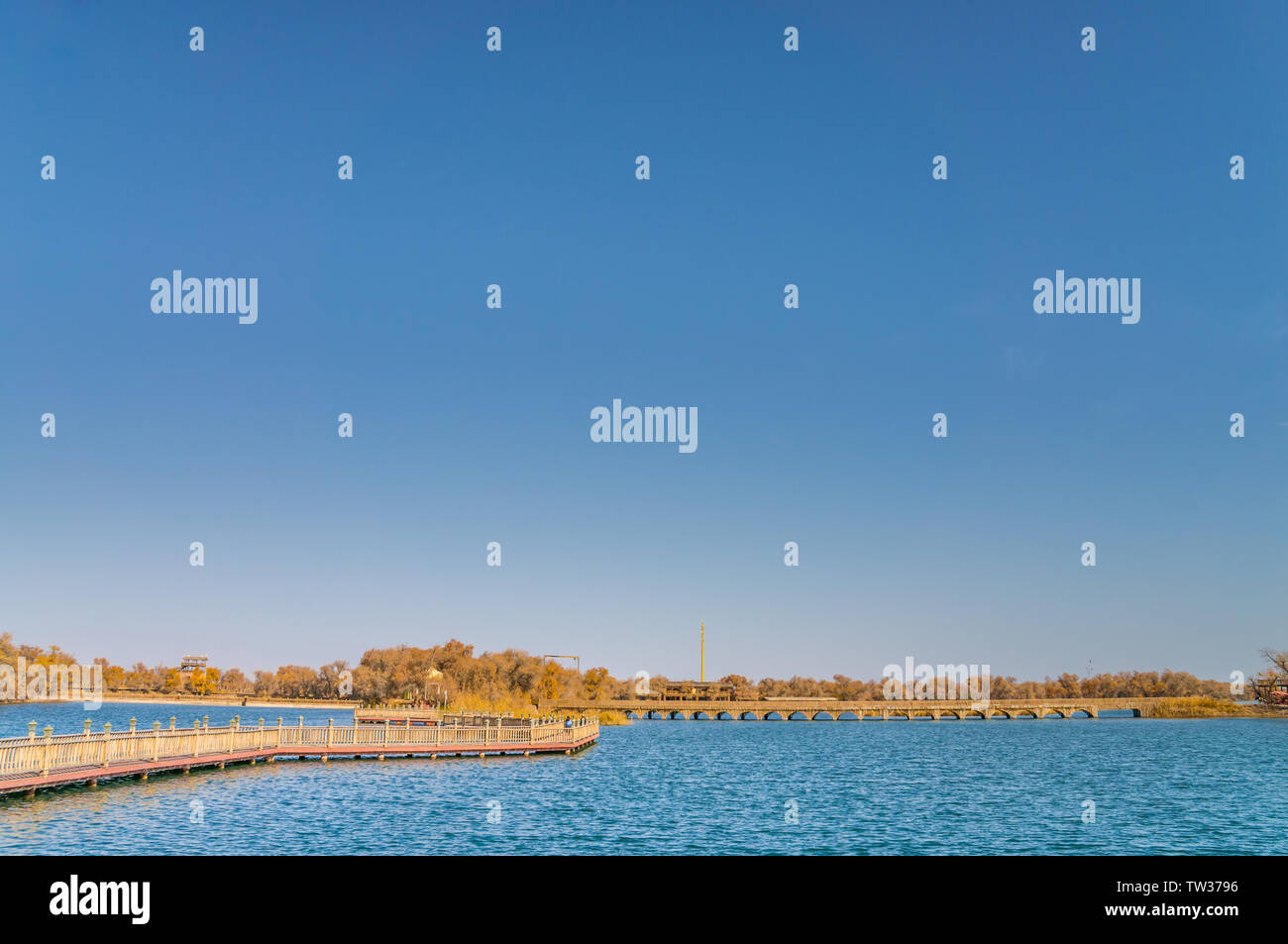 Poplar Lin, lake, reflection, beautiful scenery Stock Photo - Alamy