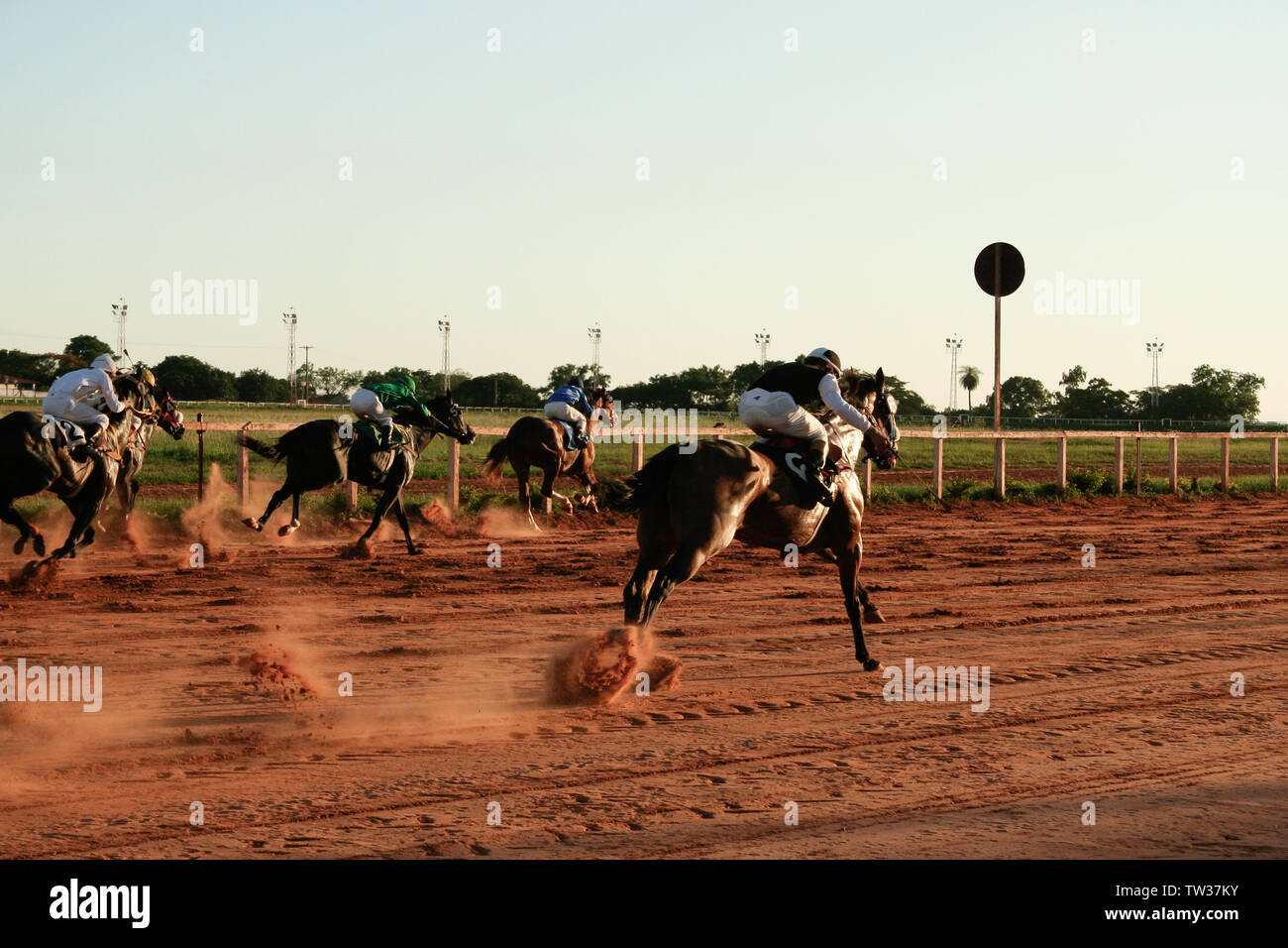 Horse Racing Horses High Resolution Stock Photography and Images - Alamy