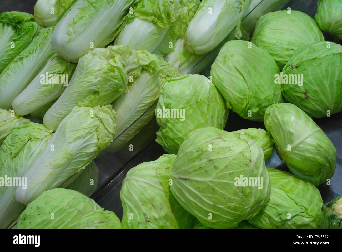 Cabbages selling at a market stall Stock Photo - Alamy