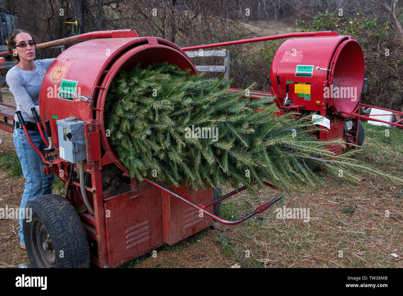 Snickers Gap Christmas Tree Farm High Resolution Stock Photography and ...